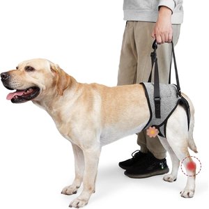 Lift harness up to 75% Off | Today's Best Deals, Discounts, and Offers